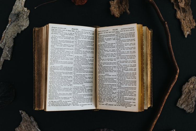 Post-Editing In The Machine Translation Era - Protranslate Blog